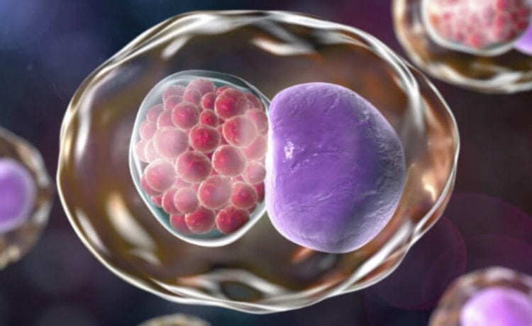 Almacin kapsule (500mg) – Uputa o lijeku | Kreni zdravo!