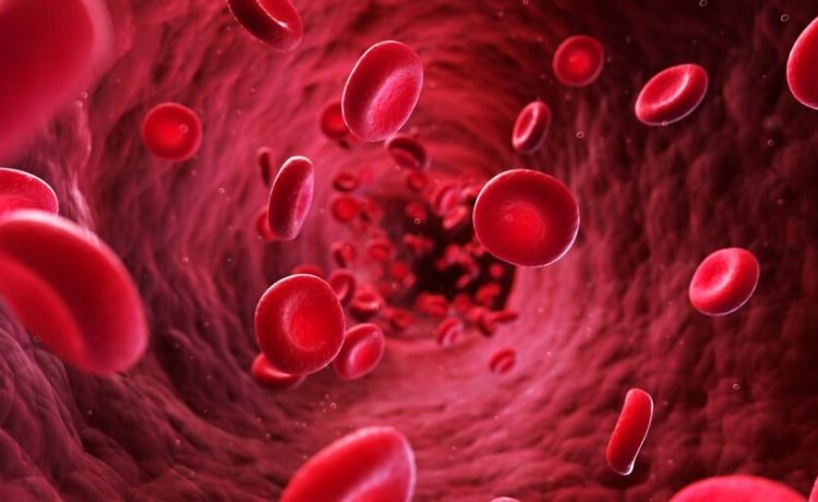 Andol Pro tablete (75/100 mg) – Uputa o lijeku