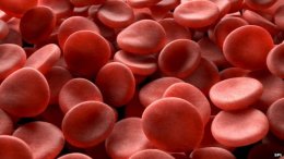 Trombocitopenija – uzroci, simptomi i liječenje | Kreni zdravo!