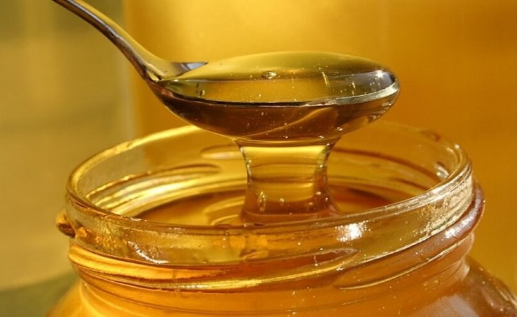 Vrste meda i kako prepoznati pravi med? | Kreni zdravo!
