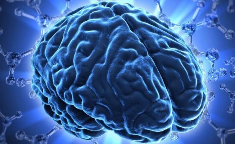 Lyvam tablete – Uputa o lijeku | Kreni zdravo!