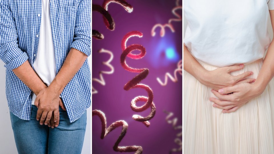 Sve o Temi sifilis - simptomi | Kreni zdravo!