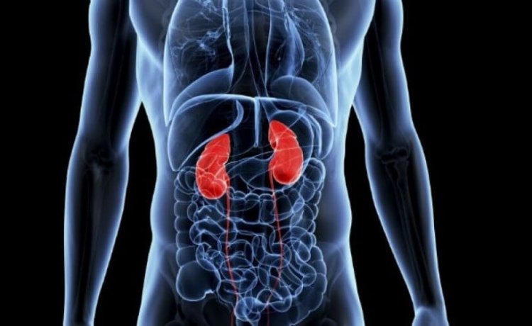 Edemid forte (500mg) – Uputa o lijeku | Kreni zdravo!