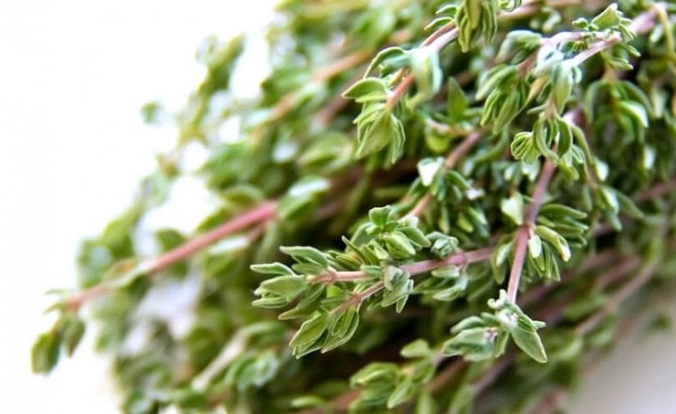 Belodin (10mg) – Uputa o lijeku | Kreni zdravo!