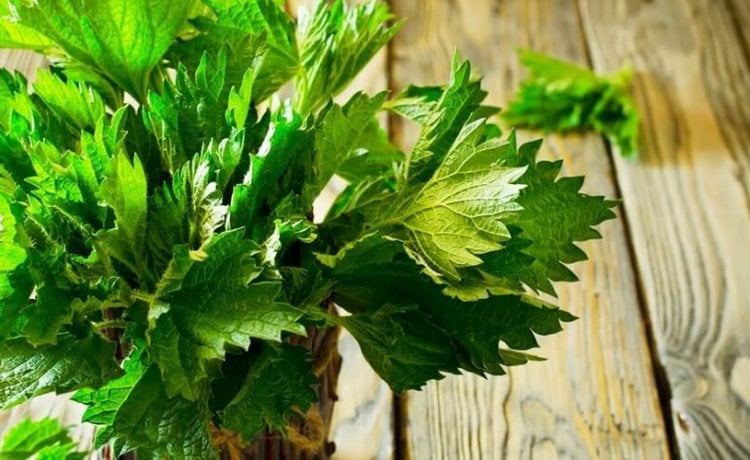 Ymana tablete (5/10/15/20 mg) – Uputa o lijeku