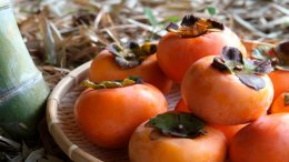 Japanska jabuka (kaki) – uzgoj, nutritivna i ljekovita svojstva | Kreni ...