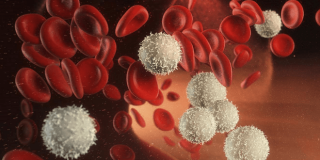 Diferencijalna krvna slika – koje su normalne vrijednosti i kako se pripremiti za pretragu ...