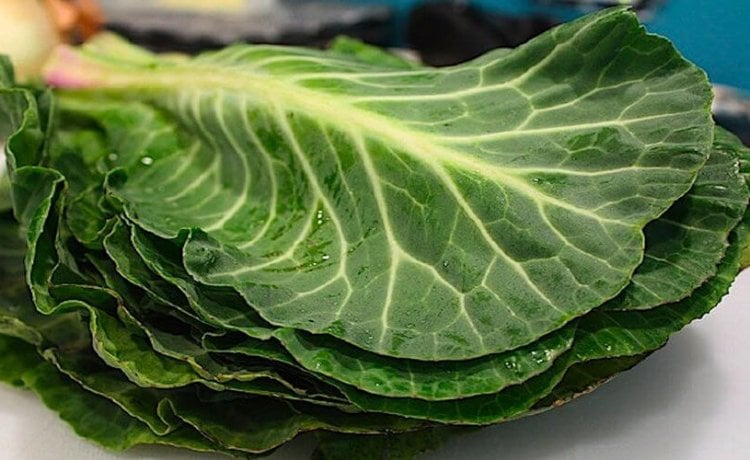 Uputa o lijeku – Ropuido 10 mg filmom obložene tablete | Kreni zdravo!