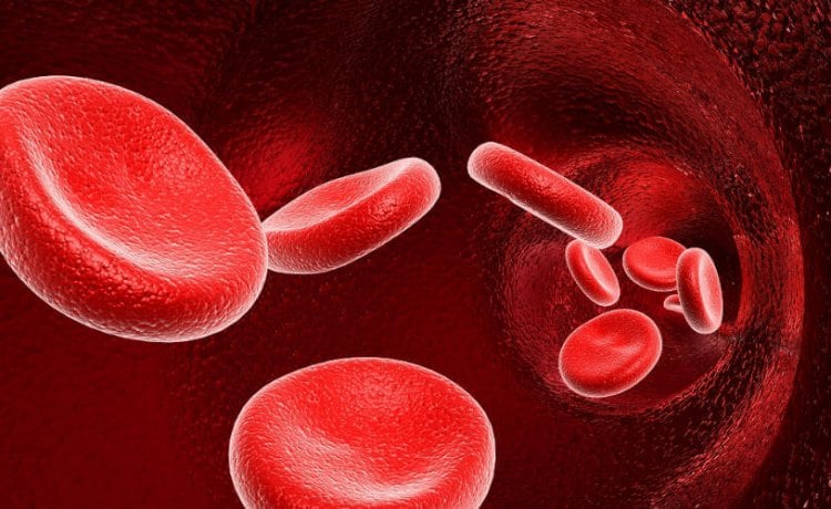 MPV u krvi – nizak MPV i visok MPV | Kreni zdravo!