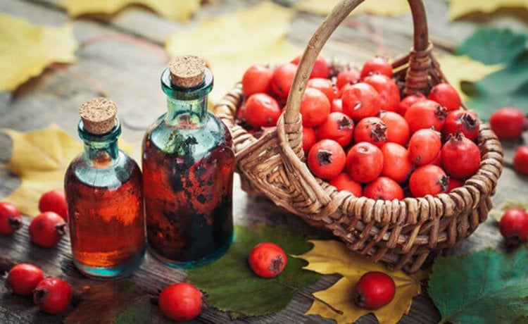 Uputa o lijeku – Co-Dalneva 4 mg/1,25 mg/5 mg tablete | Kreni zdravo!