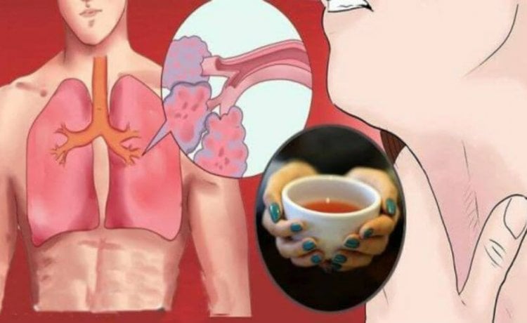 Bisolex tablete (16mg) – Uputa o lijeku | Kreni zdravo!