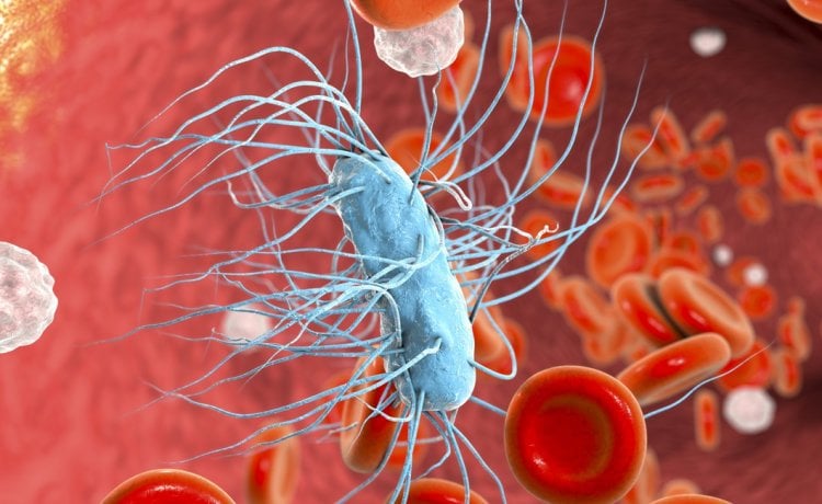 Ninur kapsule – Uputa o lijeku | Kreni zdravo!