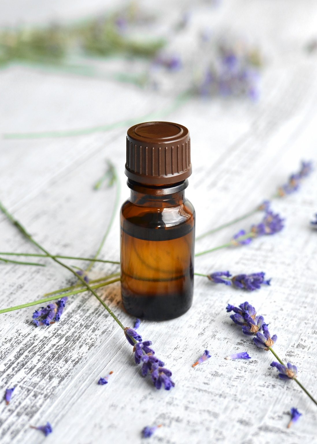 Ugriz komarca: Jedna od najneugodnijih ljetnih pojava! Ublažite svrbež ...