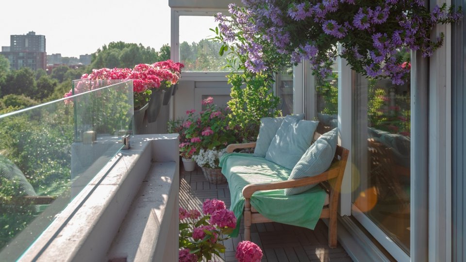 Sve o Temi biljke za balkon na suncu | Kreni zdravo! Sve o Temi biljke za balkon na suncu | Kreni zdravo!