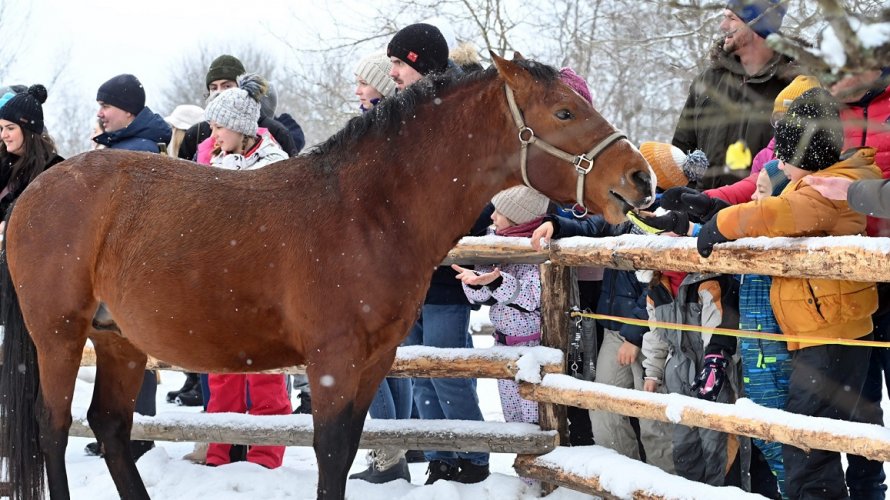 Zimski izleti za djecu: Idealna prilika za obiteljski odmor, zabavu ...