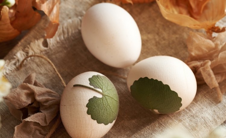 Lanzul kapsule (30mg) – Uputa o lijeku | Kreni zdravo!